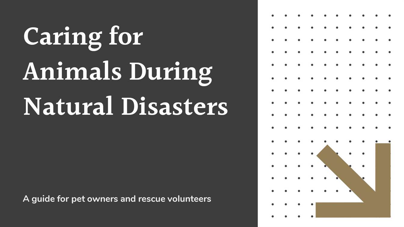 Caring for Animals During Natural Disasters Free Powerpoint Template ...