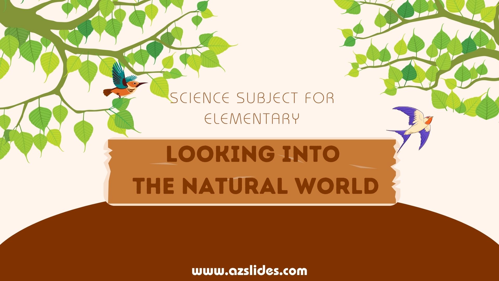 Science Subject for Elementary: Looking into the Natural World Free ...